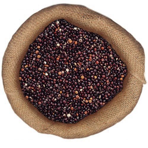 Superfoods | Holguin